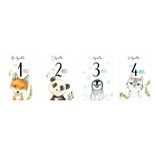 Cadeau de Naissance -12 Cartes Etapes Bébé, Collection Animaux – Omade